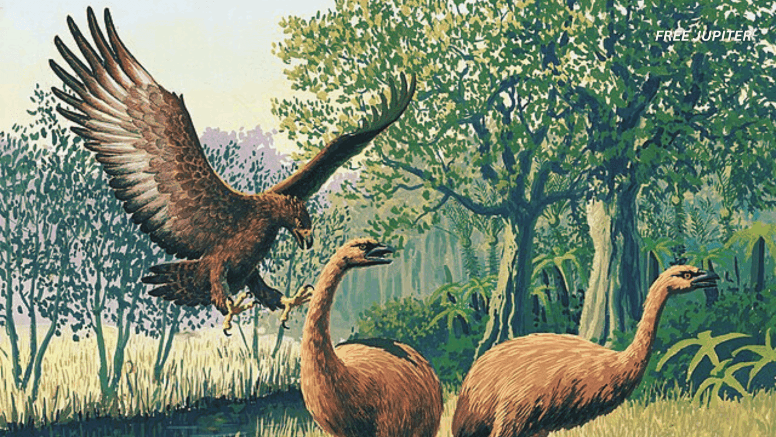 A Biologist Reveals The Largest Eagle That Ever Lived, And Why It Went ...