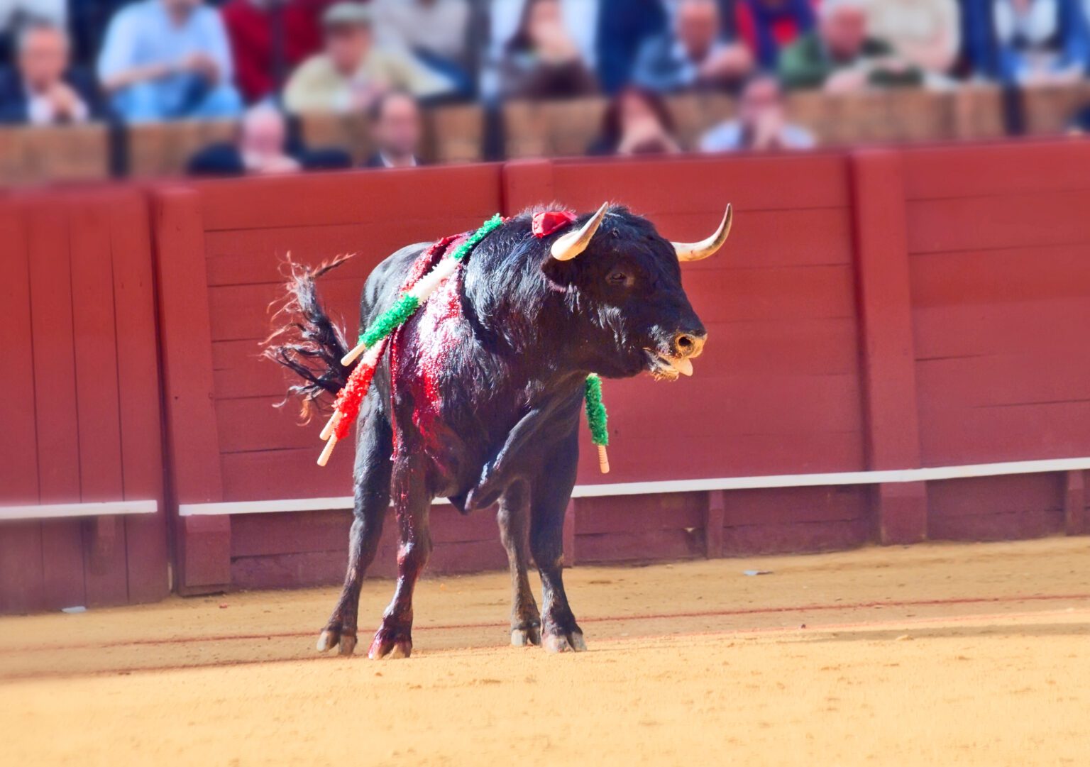 It's Official! Mexico City Has Banned Bullfighting, Ending A 500-Year ...