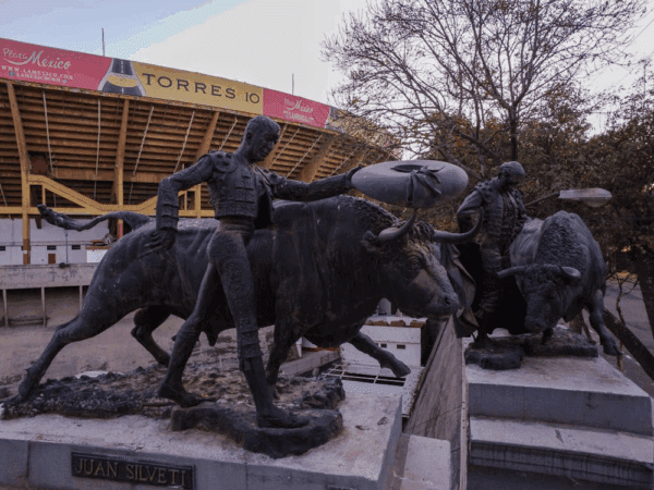 It's Official! Mexico City Has Banned Bullfighting, Ending A 500-Year ...