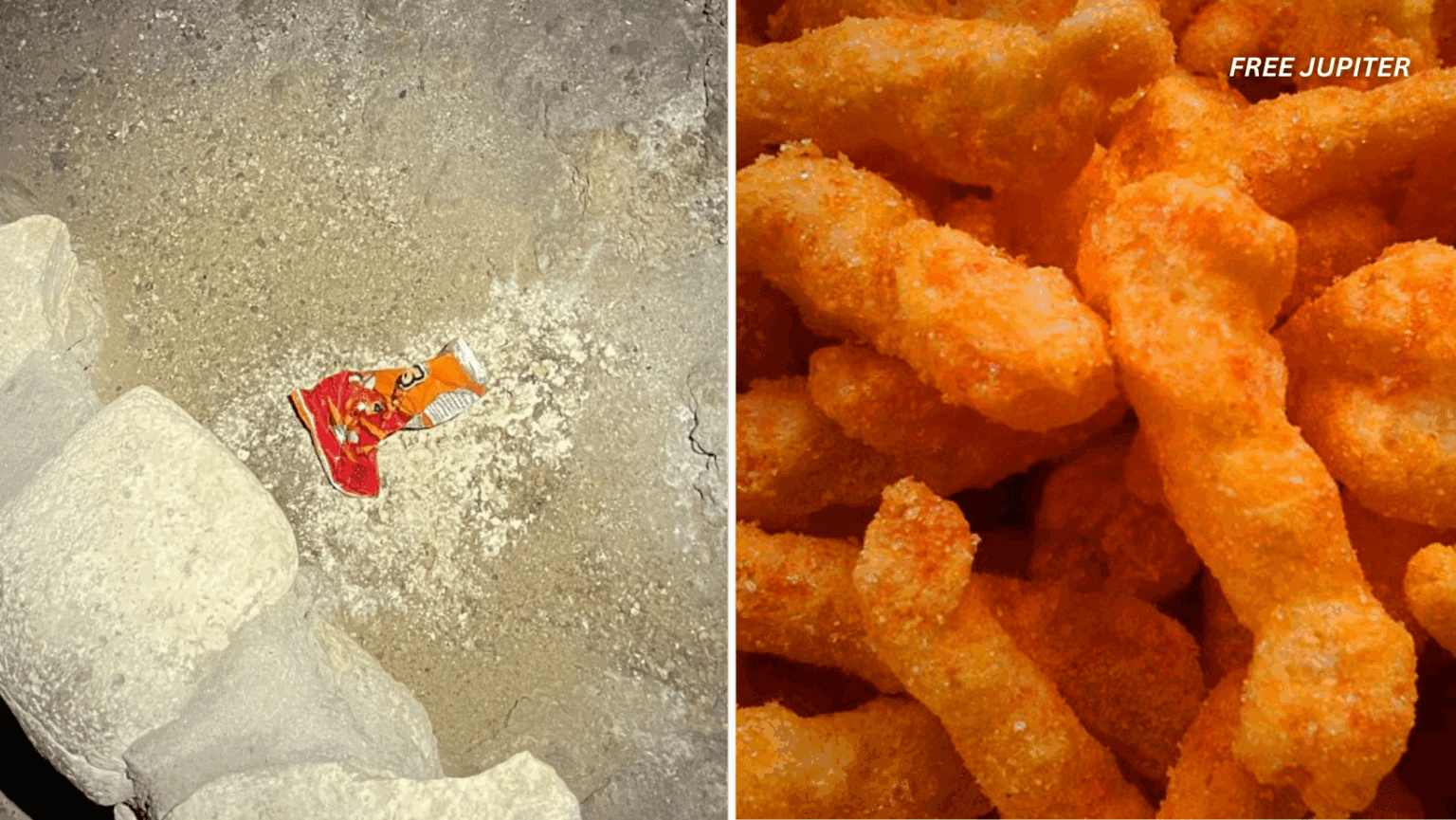One Dropped Bag of Cheetos May Have Triggered Ecosystem Chaos in ...