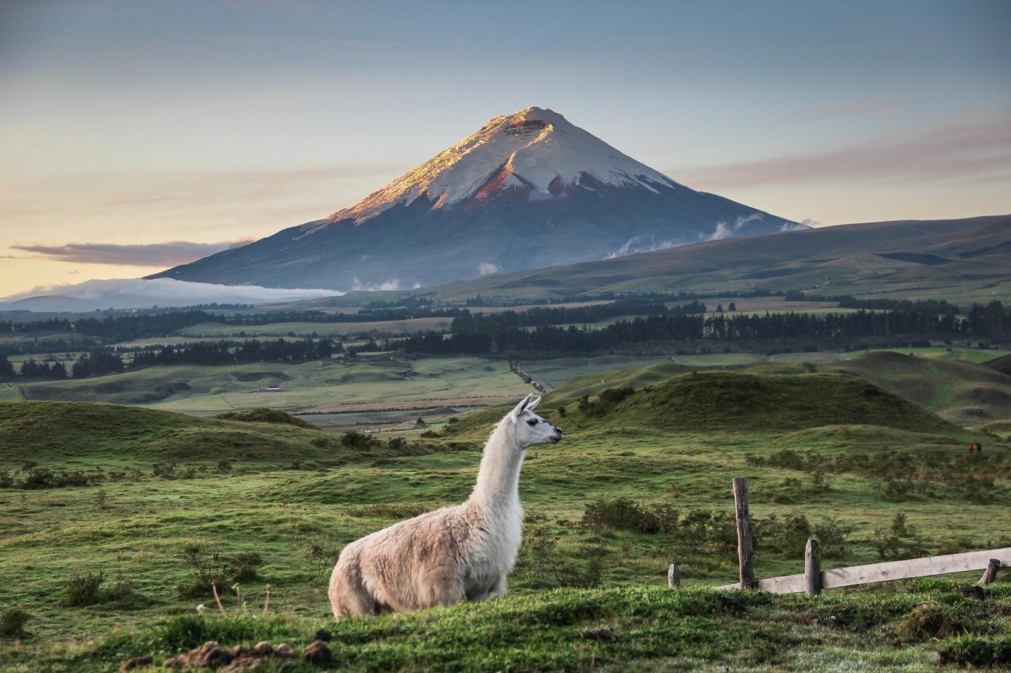 More Than 100 Archaeological Structures Have Just Been Discovered in ...