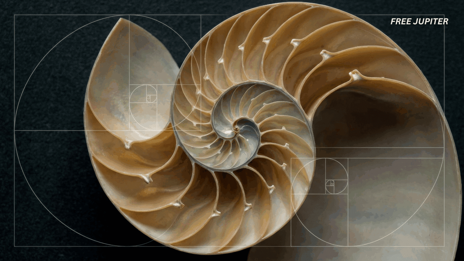 Scientist Put the Fibonacci Sequence Into a Quantum Computer — What ...